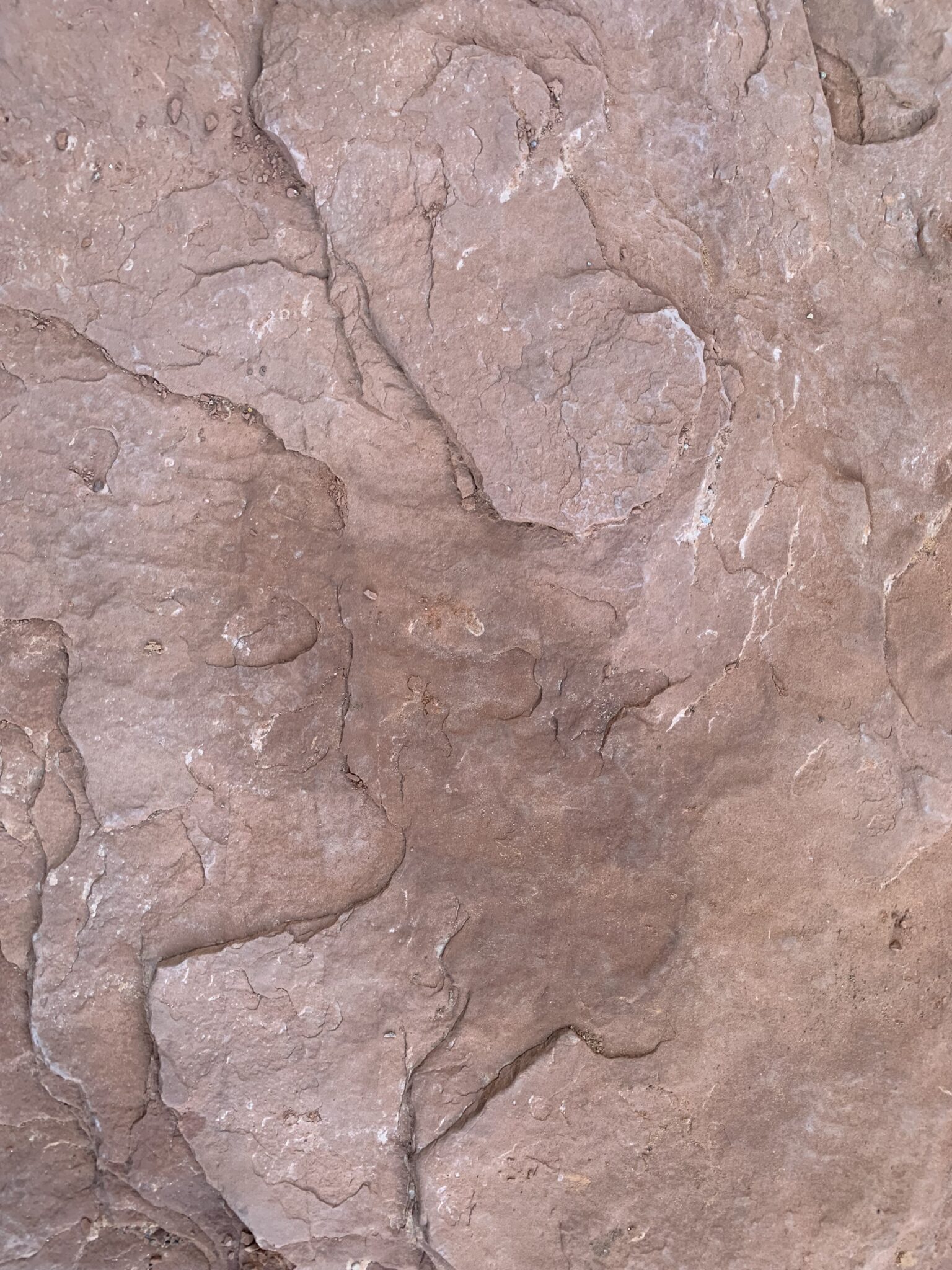 everytexture.com-stock-rocks-texture-00128 | Free Textures